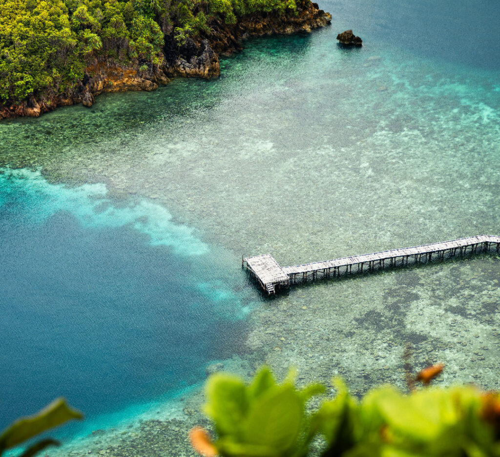 About Liveaboard Indonesia | Dive Travel Experts